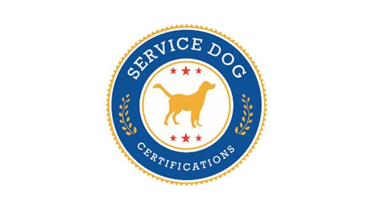 Rules and Regulations for service dog owners - Mitmunk